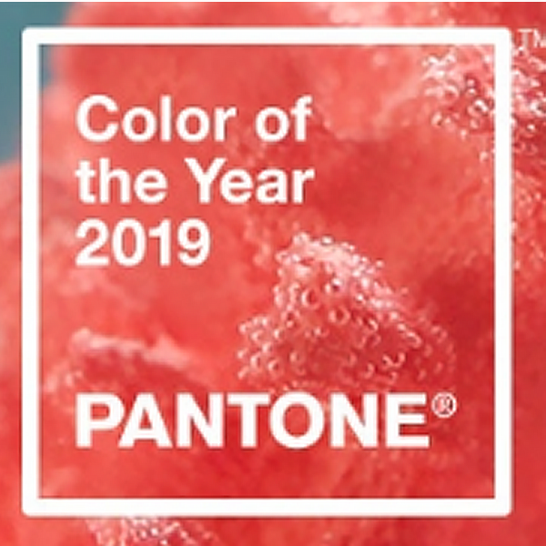 Living Coral is the Pantone Colour of 2019 - Web Studio Training